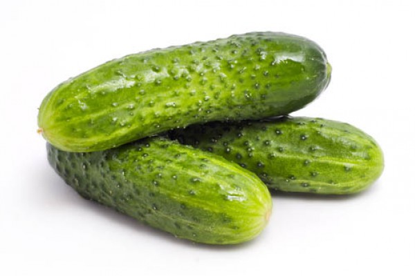 Αγγούρι | Agris S.A, seeds, agricultural products