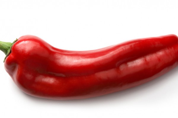 Pepper | Agris S.A, seeds, agricultural products